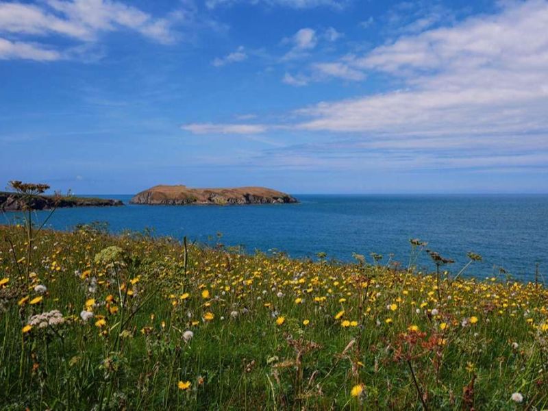 Fishguard Holiday Park, Pembrokeshire | Vale Holiday Parks