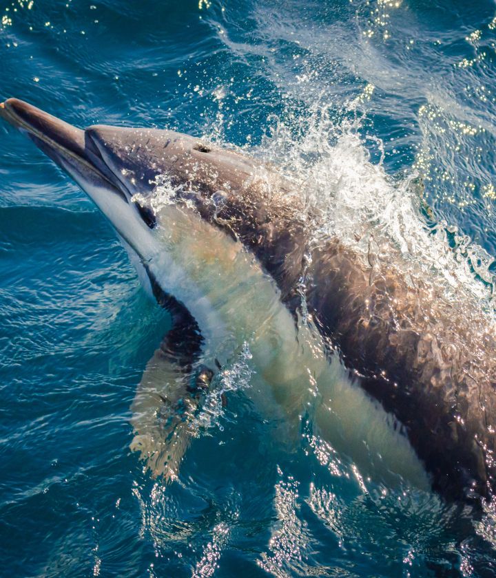 Clarach Bay Holiday Village in Mid Wales | Clarach Bay